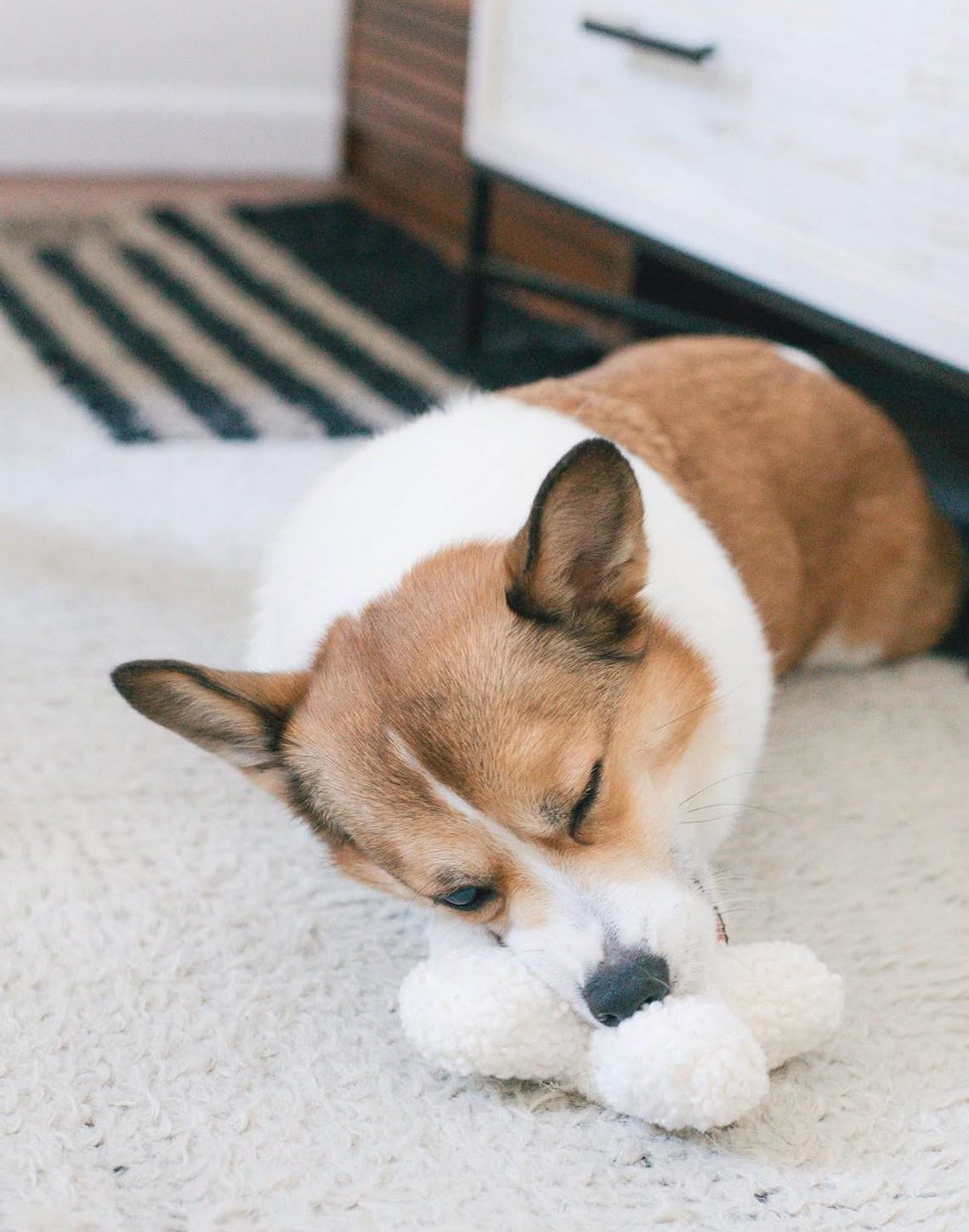 Modern Minimalist DOG TOY Hugs Boucle Plush Toy With Squeaker - Etsy