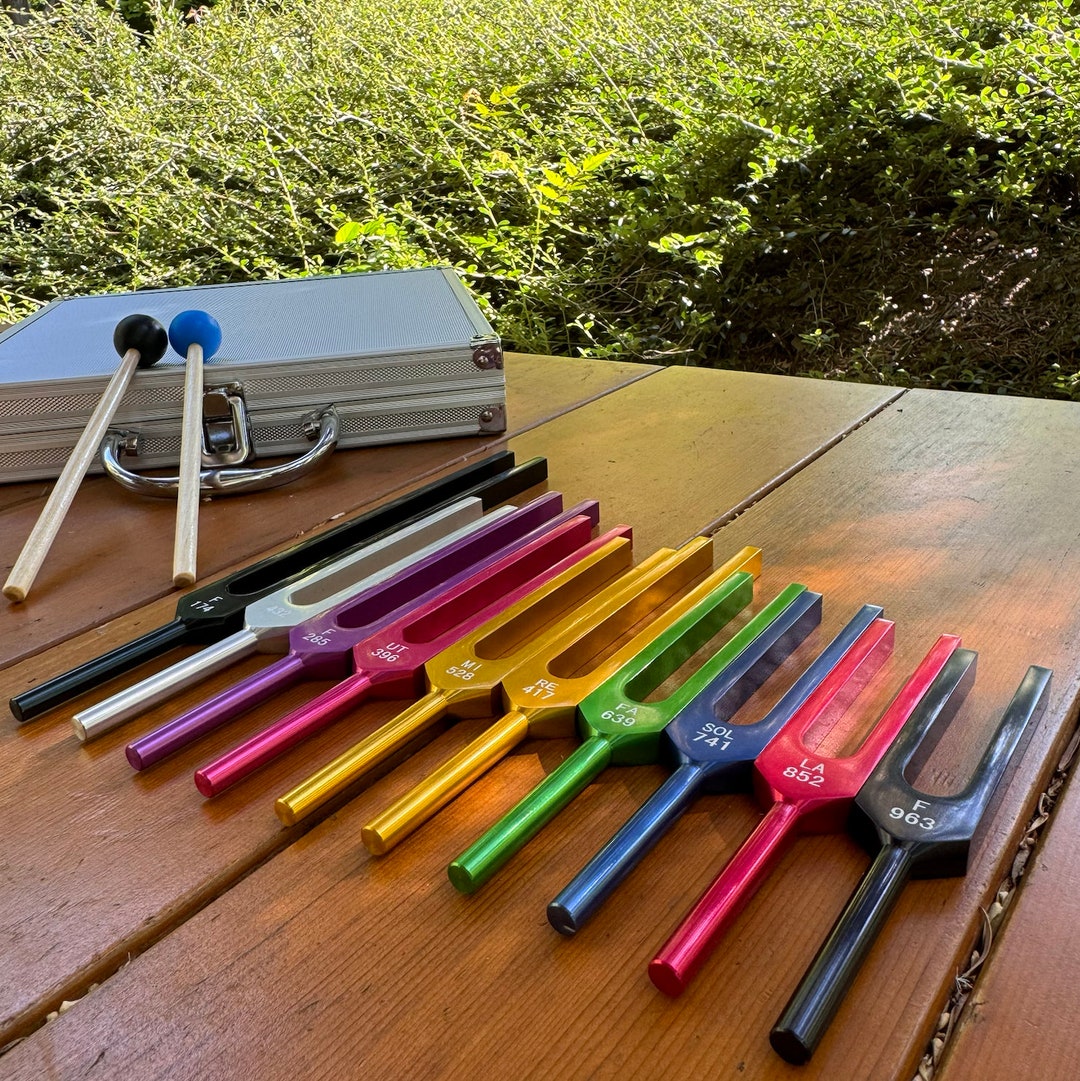 10-piece Tuning Fork Set for Sound Healing With Mallet and Case for ...