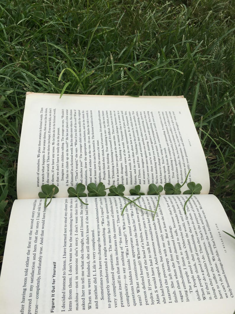 Four Leaf Clovers - Picked in Virginia - Etsy