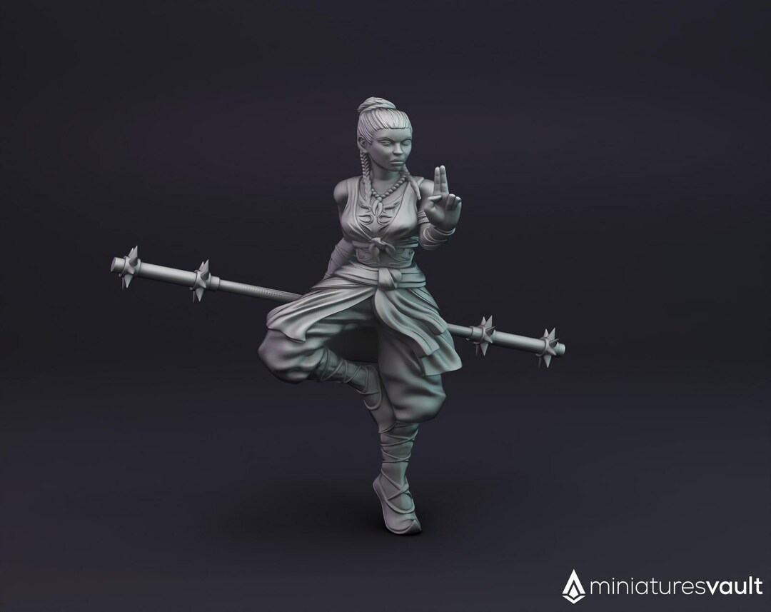 Female Monk / Human Martial Arts Fighter Miniature for Dungeons ...