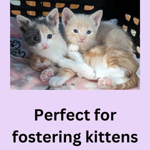 Kitten Care Tracking Sheets - Great for Fostering Kittens or Caring for ...