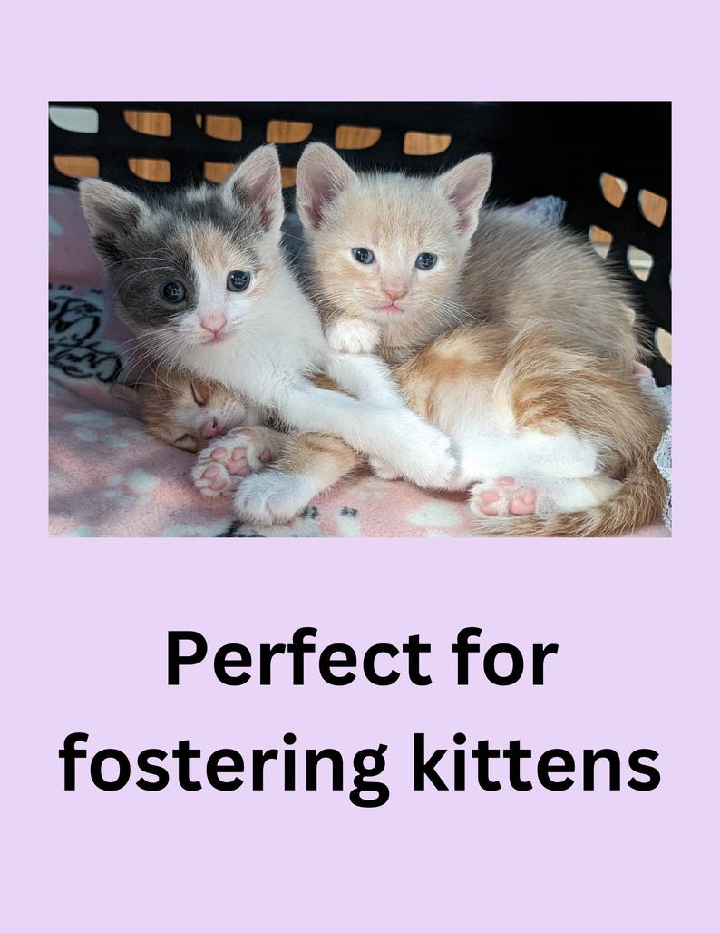 Kitten Care Tracking Sheets - Great for Fostering Kittens or Caring for ...