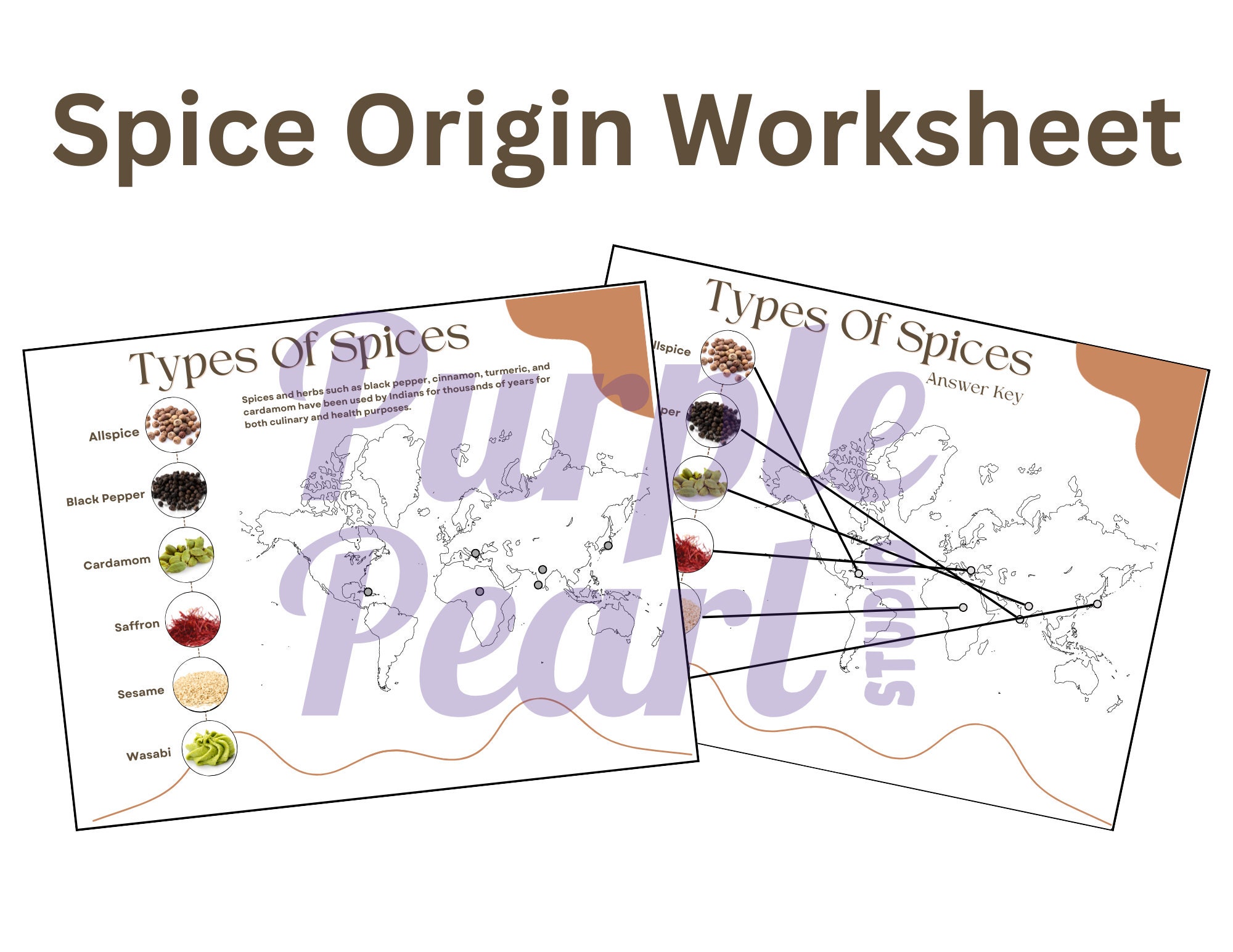 Spice Origin Printable Worksheet - Social Studies, Geography, Culinary ...