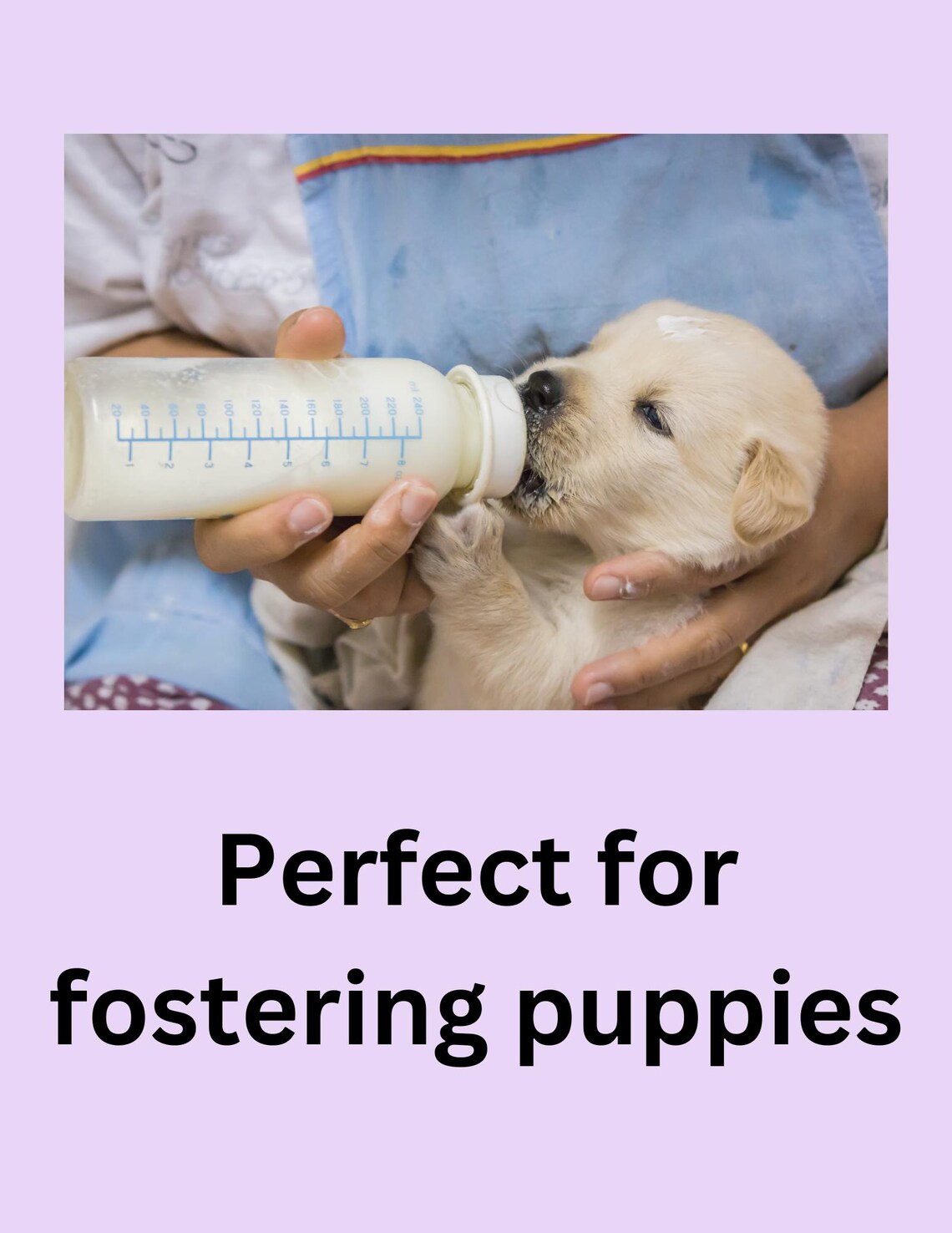 Printable Puppy Tracking Log Sheets - for All of Your Puppy's Health ...