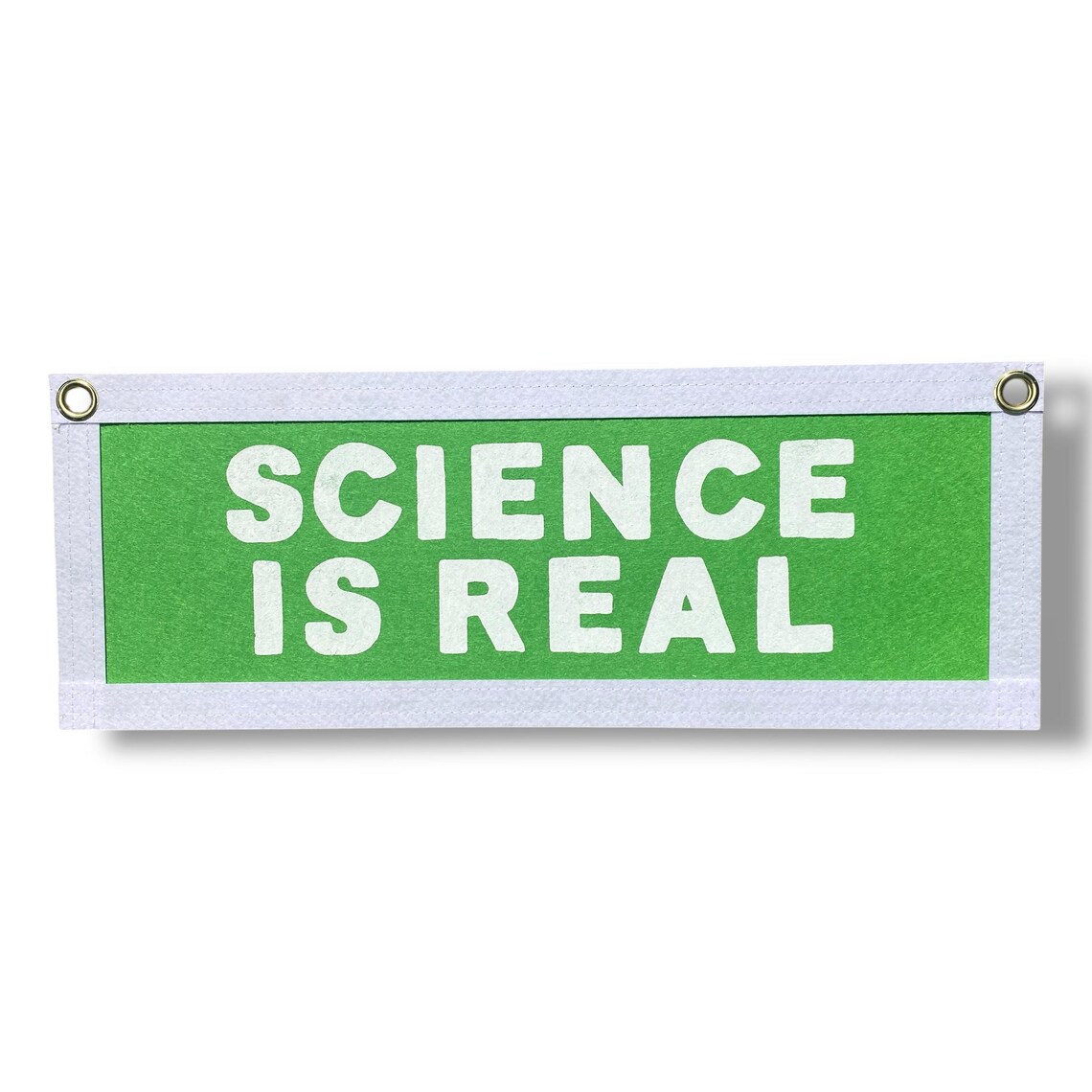 Science is Real Felt Banner – Handmade Teacher Gift – Bold Science ...