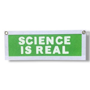 Science is Real Felt Banner – Handmade Teacher Gift – Bold Science ...