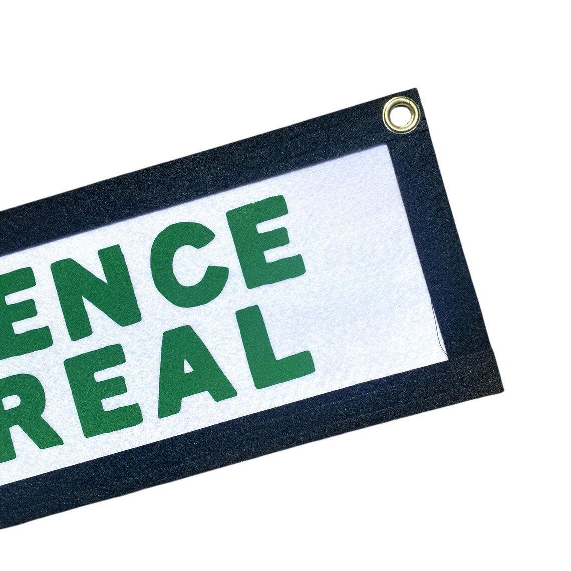 Science is Real Felt Banner – Handmade Teacher Gift – Bold Science ...