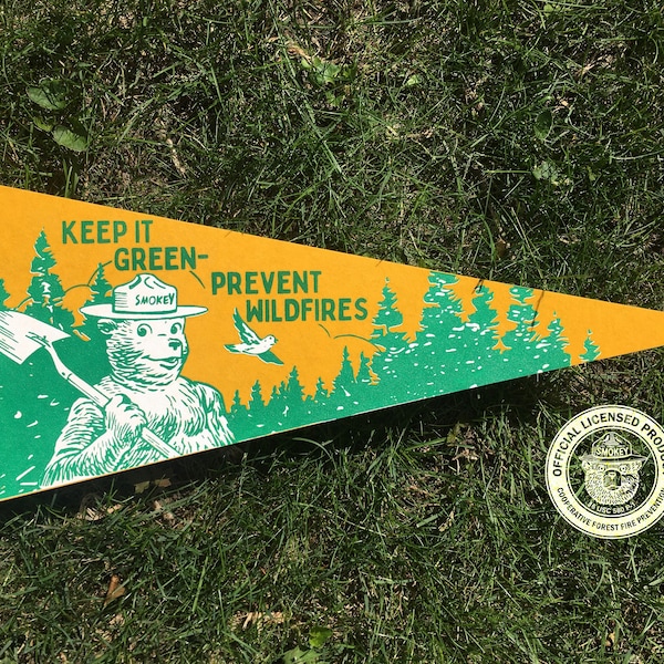 Smokey Bear Poster - Etsy