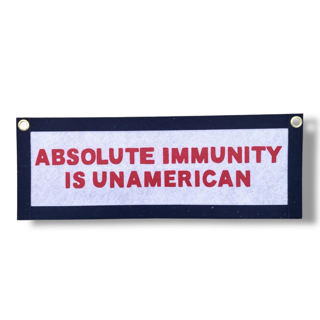 Absolute Immunity is Unamerican Banner – Handmade Felt Political Wall ...