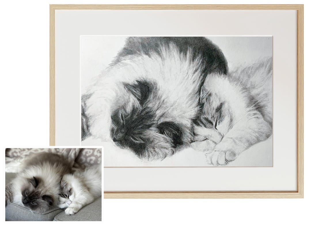 Custom, Hand-drawn Portraits From Photo of Your Love Ones or Pets ...
