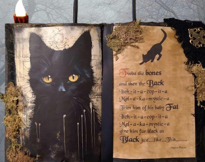 HOCUS POCUS Black Cat Transformation Spell Book Sanderson Sisters Witch ...