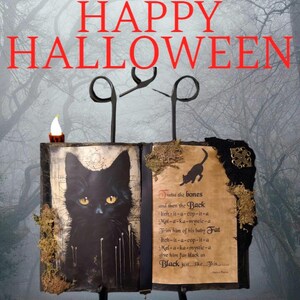 HOCUS POCUS Black Cat Transformation Spell Book Sanderson Sisters Witch ...