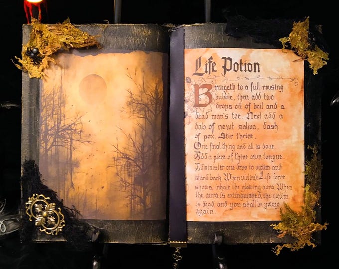 LIFE POTION Spell and Recipe Spellbook Spooky Halloween Witch Gothic ...