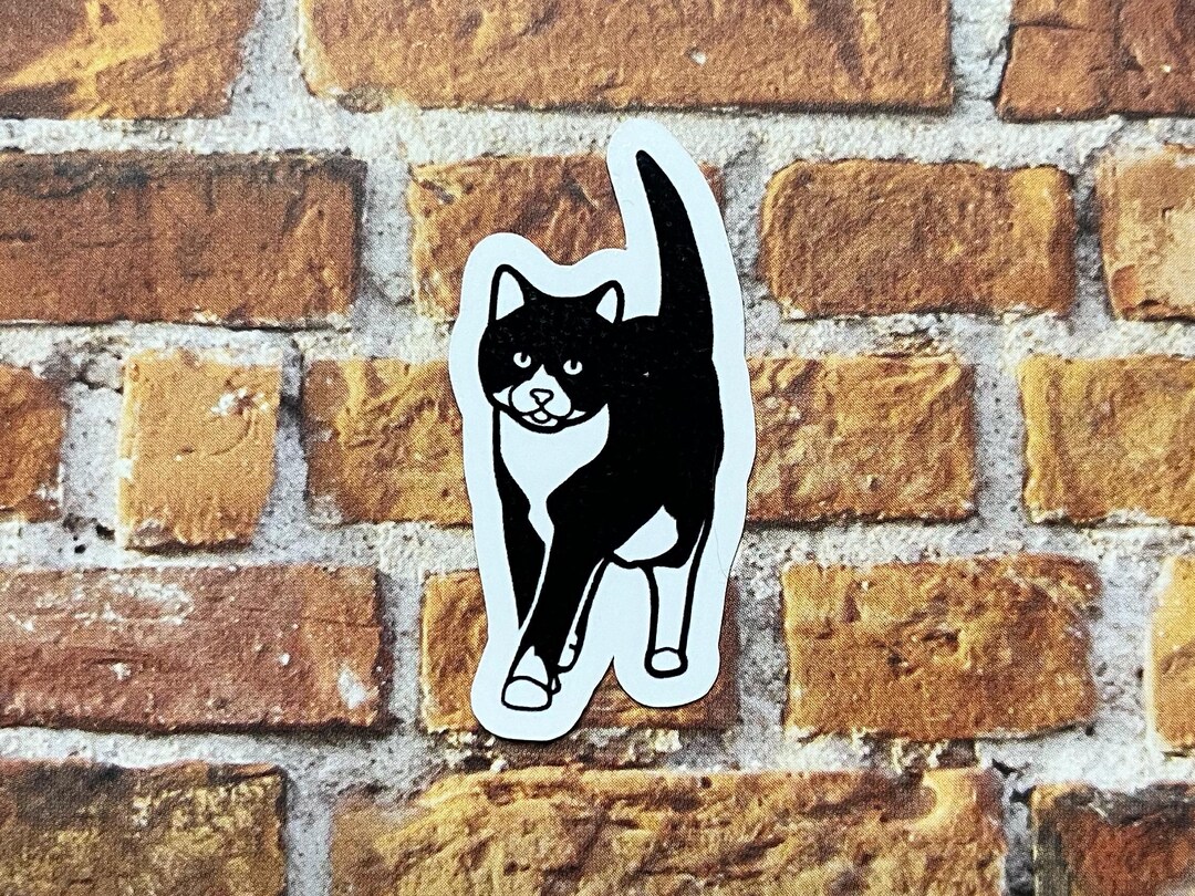 Sassy Cat Sticker, Bumper Sticker, Car Decal, Window Sticker, Sassy ...