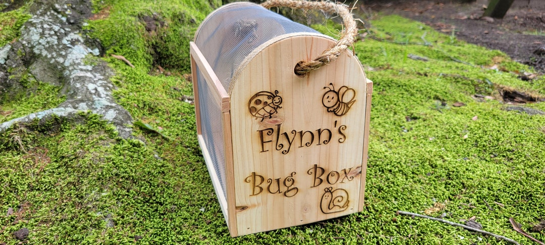 Wooden Bug Collection Box - Etsy