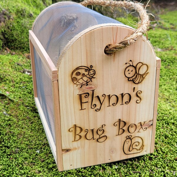 Bug Box - Etsy