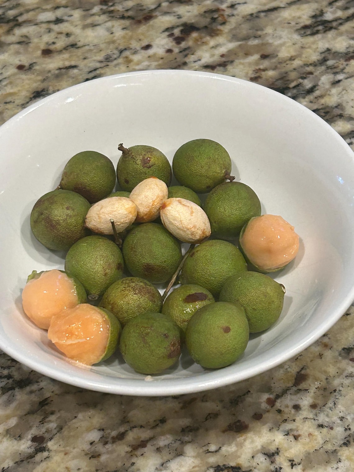 5 Spanish Lime Seeds Fresh and USA Grown - Etsy