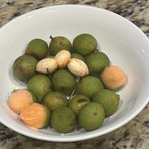 5 Spanish Lime Seeds Fresh and USA Grown - Etsy
