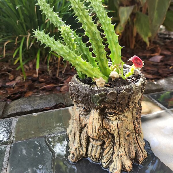 Tree Face - Etsy