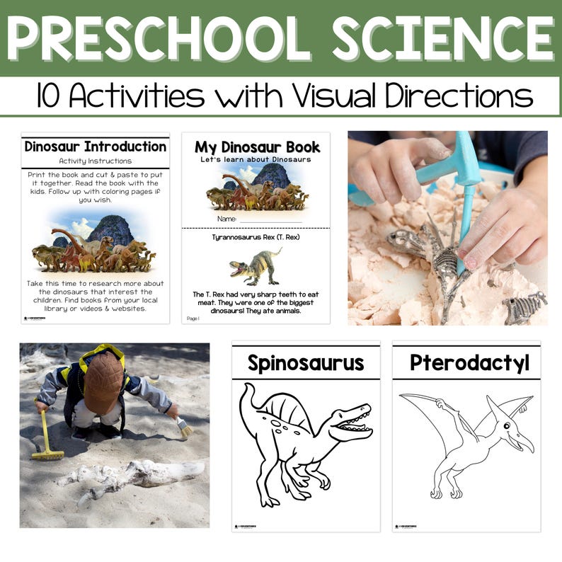 Dinosaur Unit Study, Preschool Homeschool Curriculum (digital Download ...