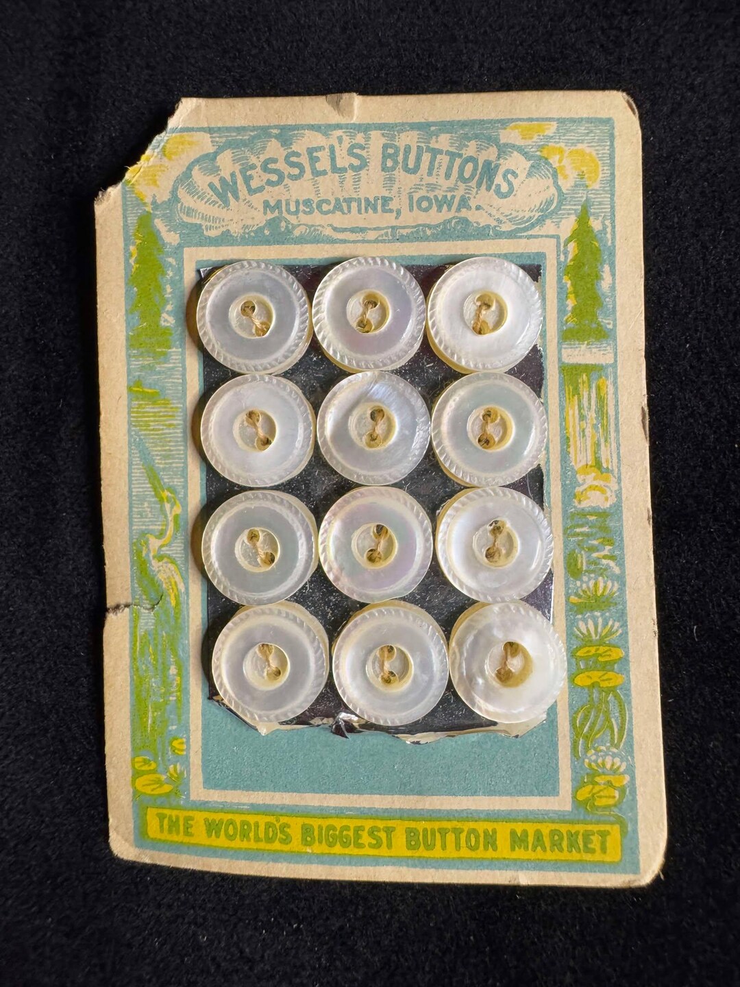 Set of 12 Vintage 3/8 Round Pearl MOP Buttons on Original Graphic 1920s ...