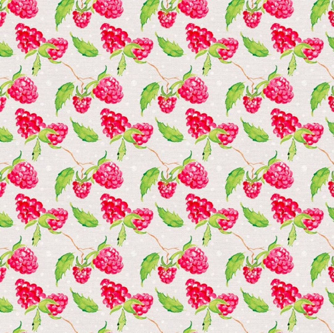 Raspberries - Sweet & Sour - Paintbrush Studio Cotton Fabrics - Etsy