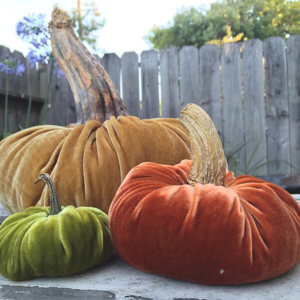 Velvet Pumpkins - Etsy
