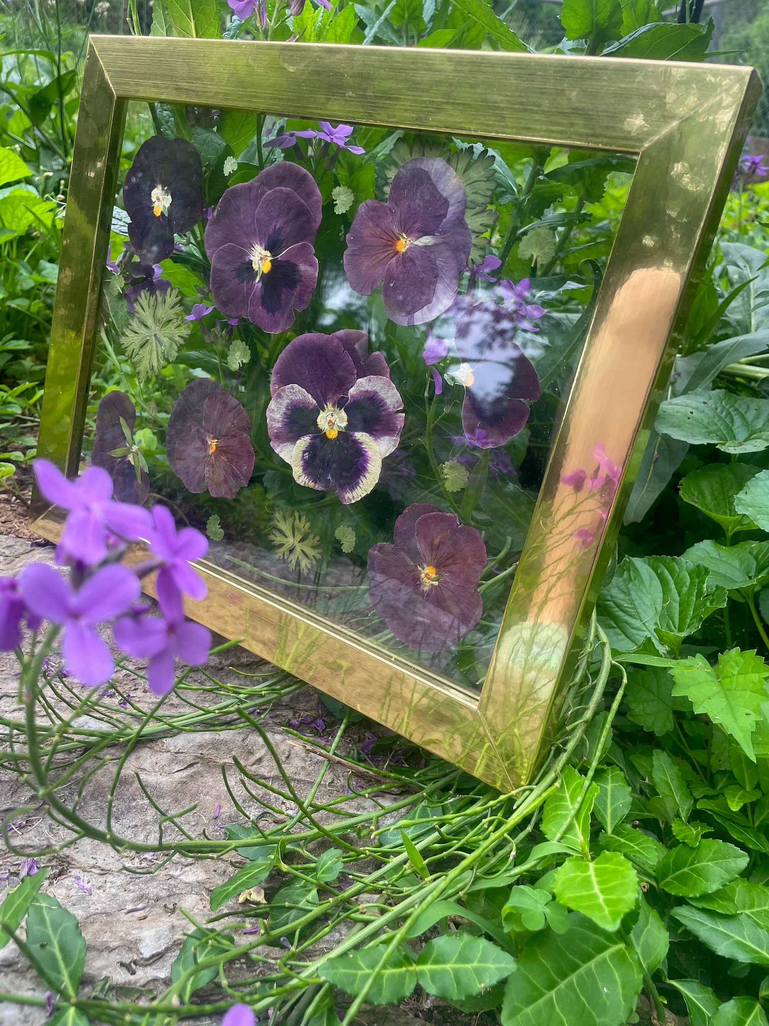 Pressed Purple Pansies in Gold Frame - Etsy