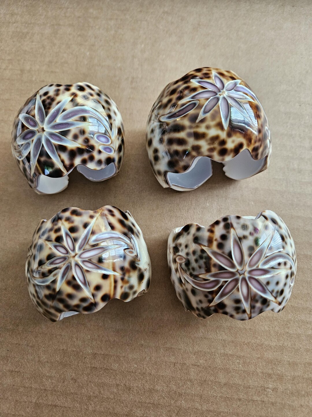 Natural Cowrie Shell Napkin Holder - Etsy