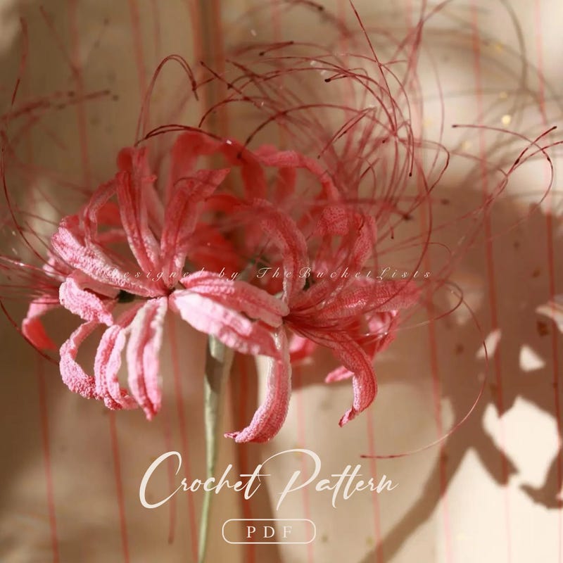 Spider Lily - Etsy
