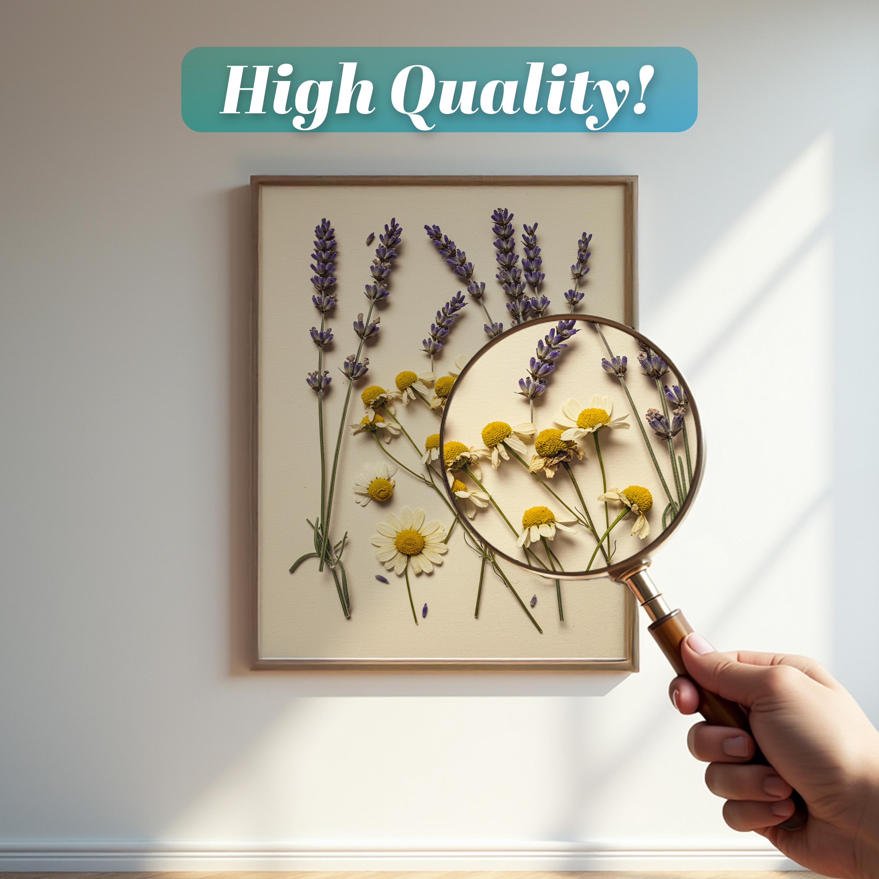 Lavender Chamomile Botanical Poster, Pressed Flower Wall Art, Beige ...