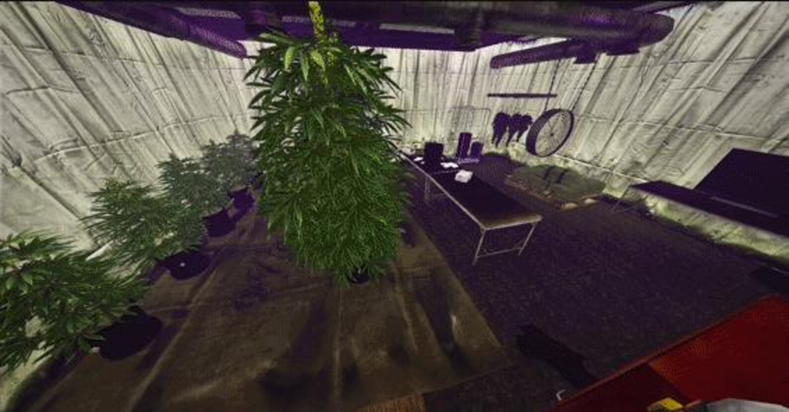 Happy 3ndings W33d Shop - Female MLO Fivem Gta5 - Etsy