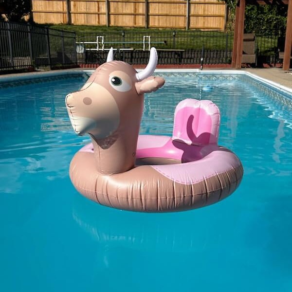 Western Pool Float - Etsy