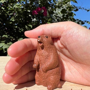 Handmade Clay Groundhog Figurine: Marmot Tea Pet, Woodchuck Gift for ...
