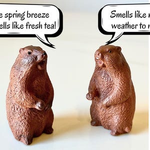 Handmade Clay Groundhog Figurine: Marmot Tea Pet, Woodchuck Gift for ...