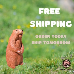 Handmade Clay Groundhog Figurine: Marmot Tea Pet, Woodchuck Gift for ...