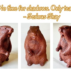 Handmade Clay Groundhog Figurine: Marmot Tea Pet, Woodchuck Gift for ...
