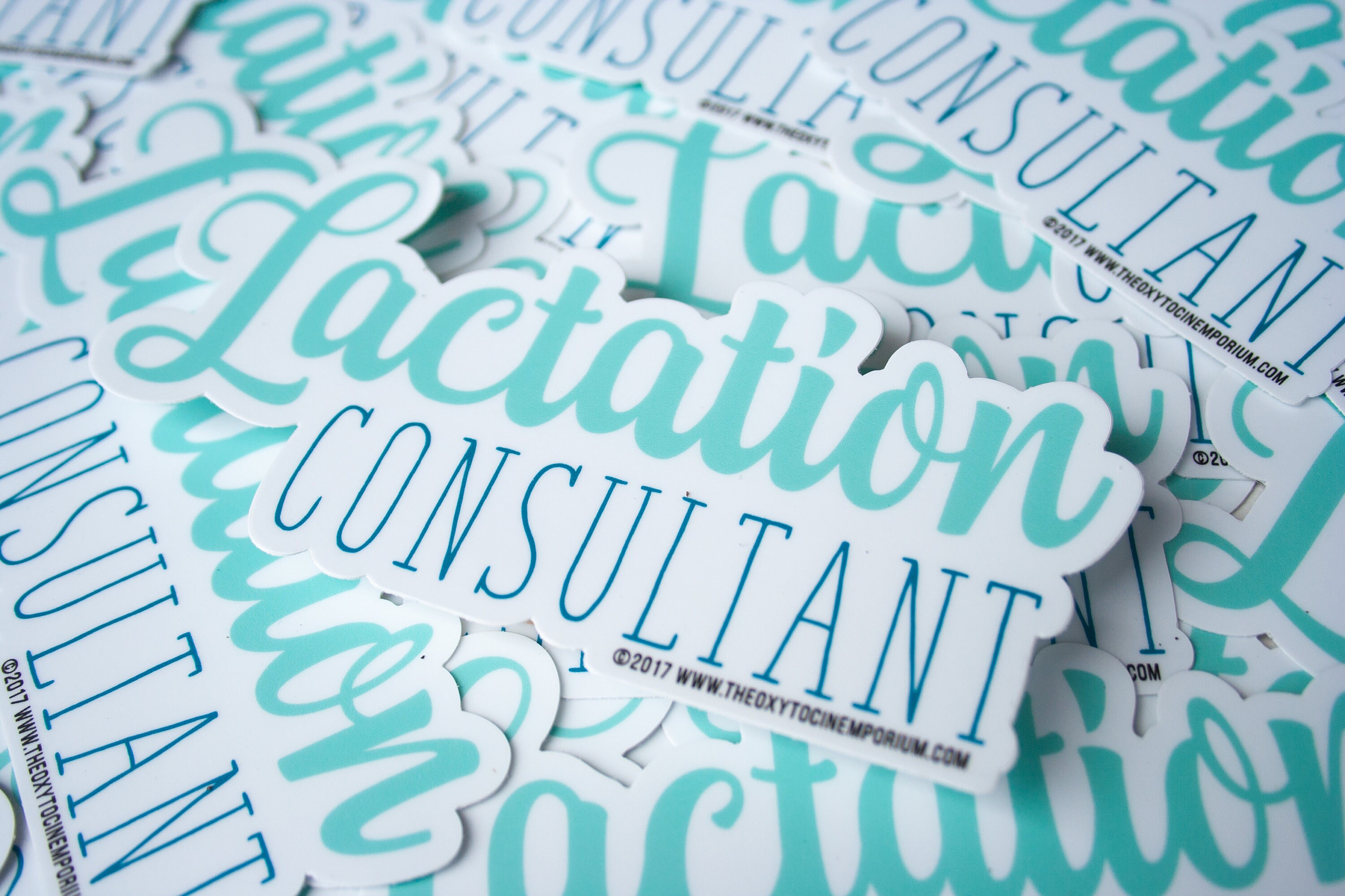 Vinyl Sticker Lactation Consultant 5.5 x | Etsy