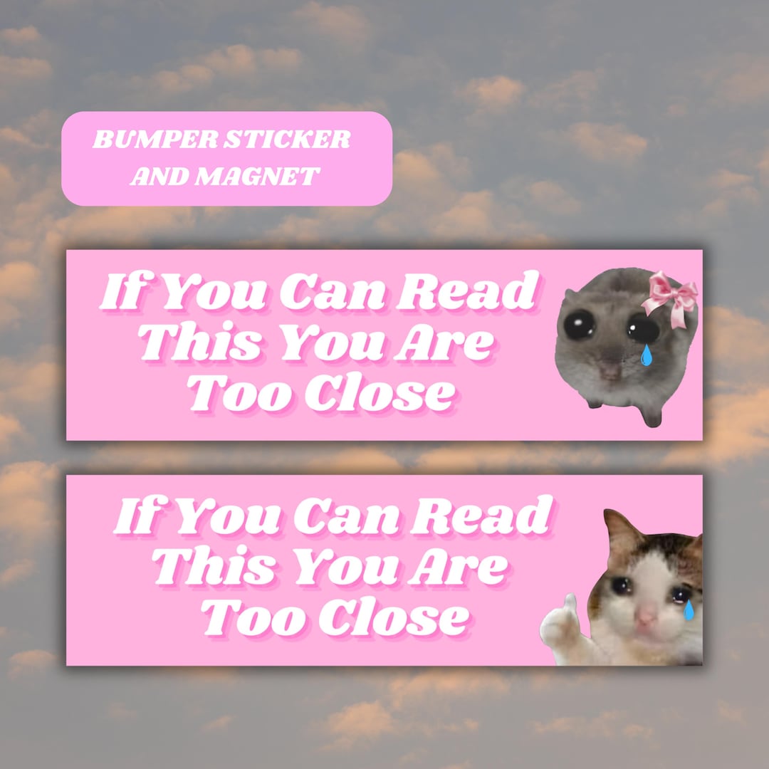 Funny Tailgater Magnetic Car Bumper Sticker | Sad Cat Hamster Meme ...