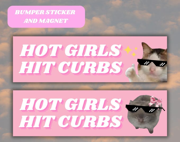 Bad Driver Bumper Sticker Funny, Weird Car Sticker Decals for Window ...