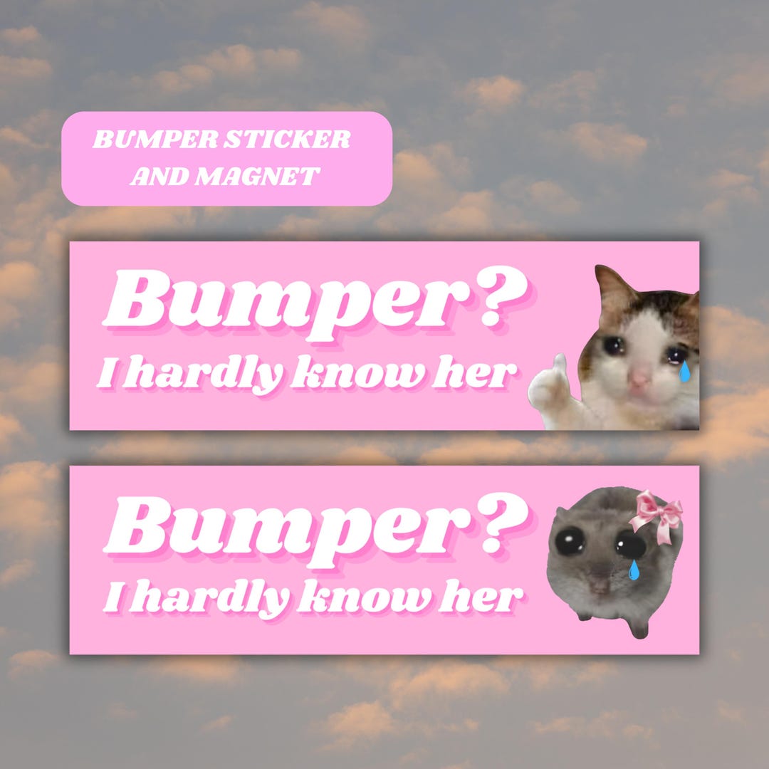 Funny Gen Z Bumper Sticker Magnet, Sad Cat Hamster Meme Tiktok Genz Car ...