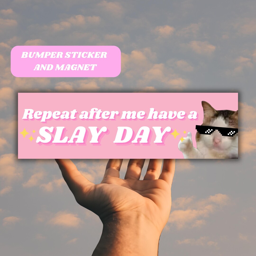Have a Slay Day Funny Cat Bumper Sticker Magnet, Cool Kitty Meme Tiktok ...