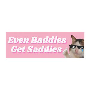 Even Baddies Get Saddies Sad Funny Bumper Sticker Magnet, Cool Cat ...