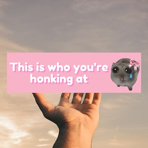 Funny Crying Sad Hamster Meme Bumper Sticker - This is Who You're ...