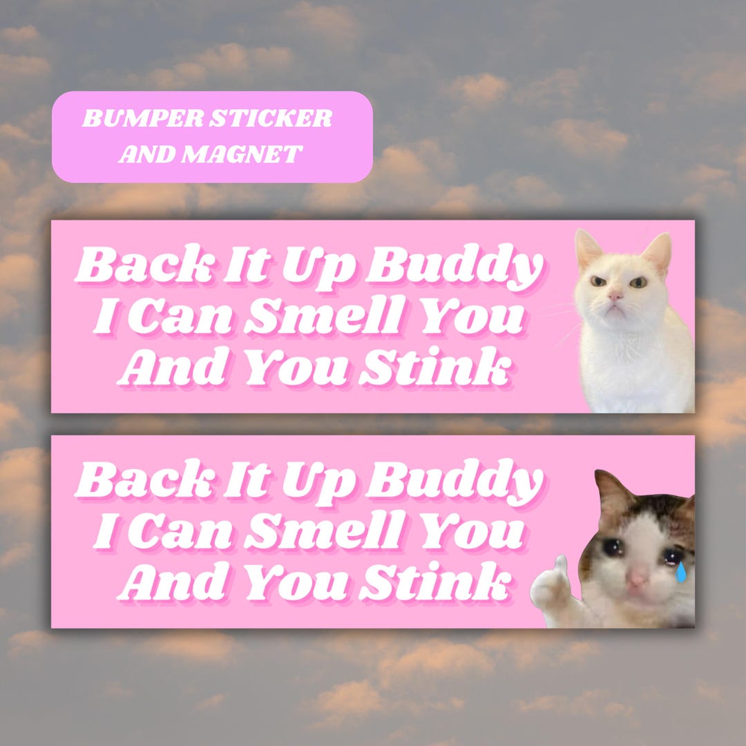 Back It up Buddy You Stink Funny Bumper Sticker Magnet, Sad Angry Cat ...