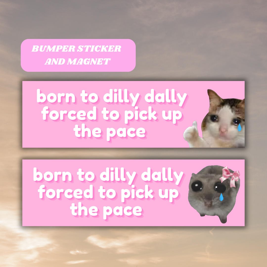 Sad Hamster Cat Meme Funny Bumper Sticker Magnet, Born to Dilly Dally ...