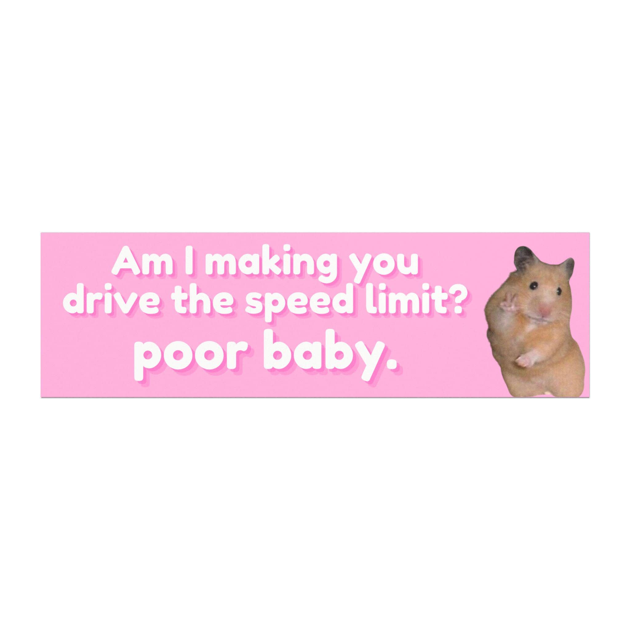 Sad Hamster Meme Funny Bumper Sticker Magnet - Am I Making You Drive ...