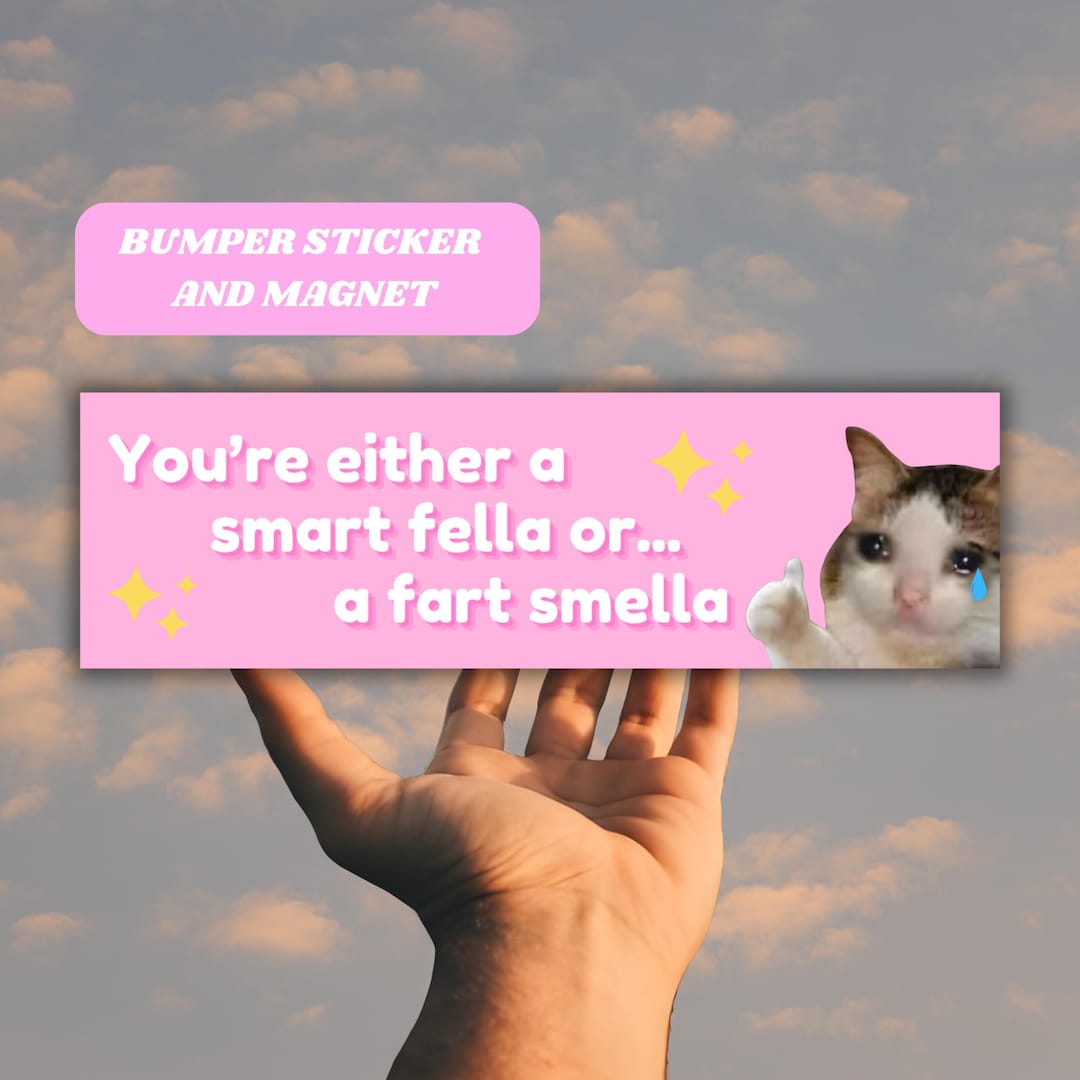 Sad Crying Cat Meme Funny Bumper Sticker Magnet, Genz Car Vinyl Sticker ...