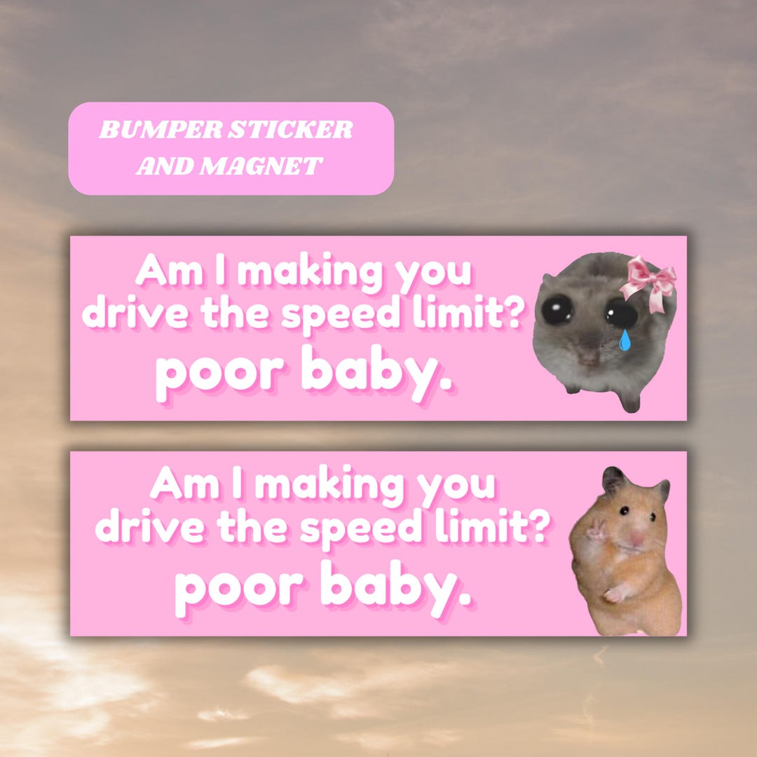 Sad Hamster Meme Funny Bumper Sticker Magnet - Am I Making You Drive ...
