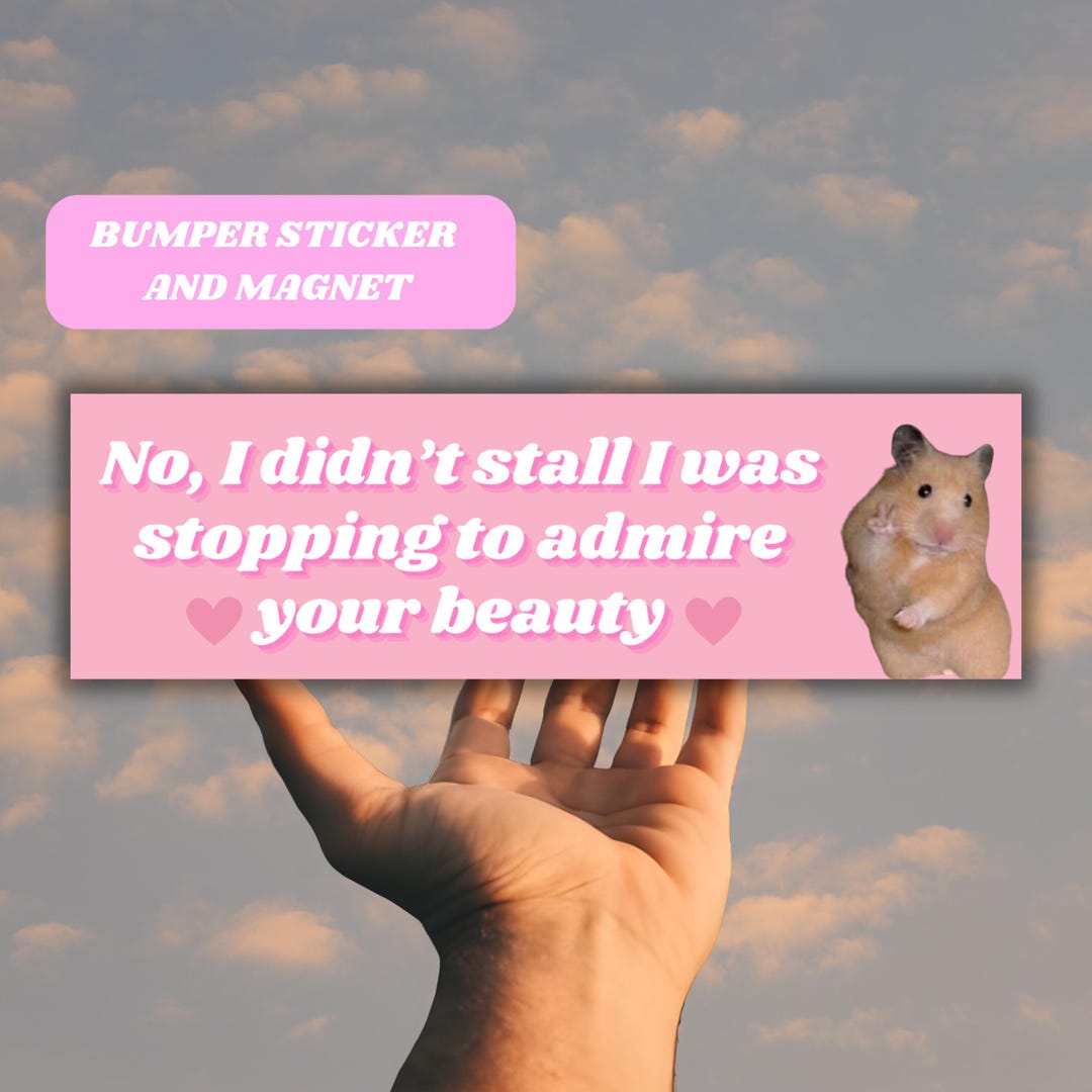 I Did Not Just Stall Stick Shift Bumper Sticker & Magnet, Cute Silly ...